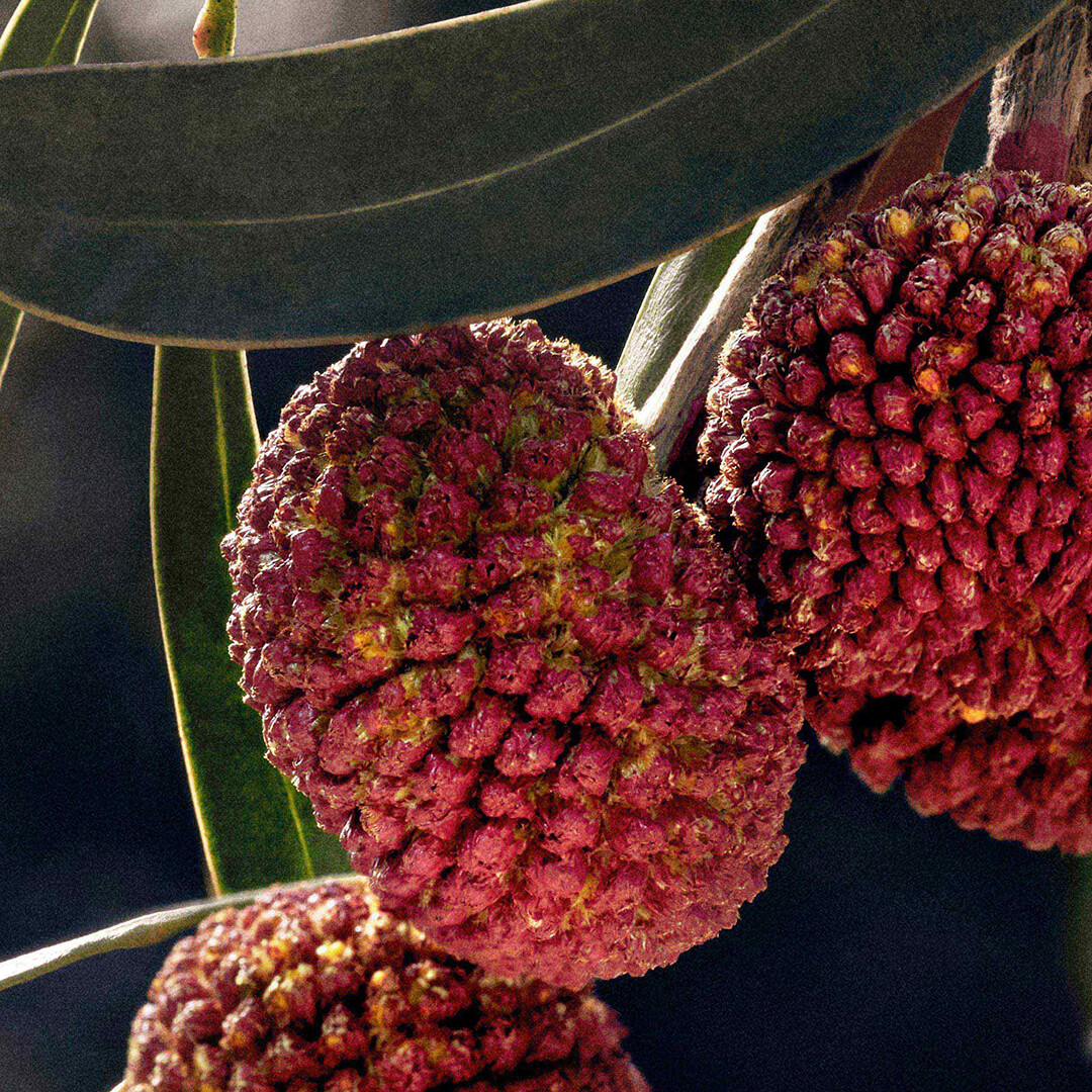 Chloe Signature Body Lotion 200ml hos Auktoriserad E-butik