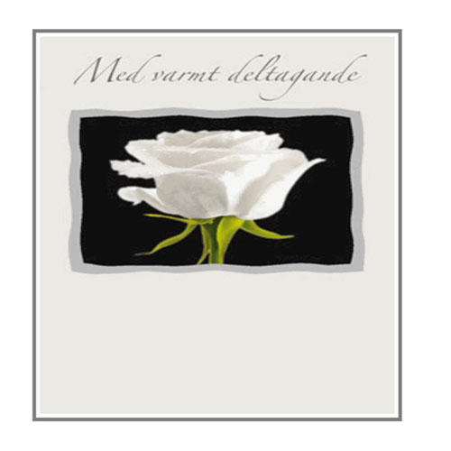 Pictura Hälsningskort Begravning Vit Ros Svart Ruta